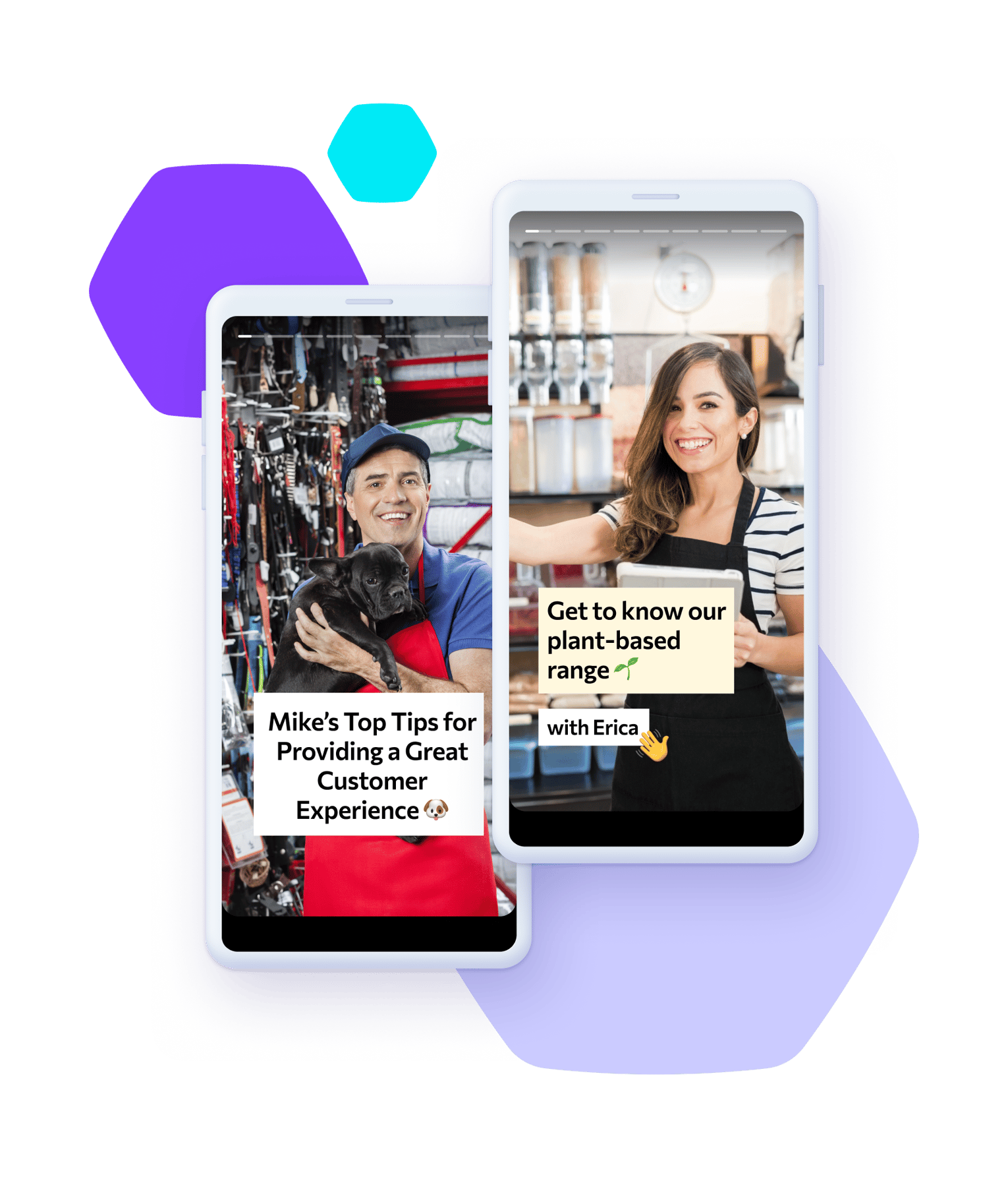 Mayer's 12 Design Principles: What They Are & How to Apply Them to eLearning | eduMe